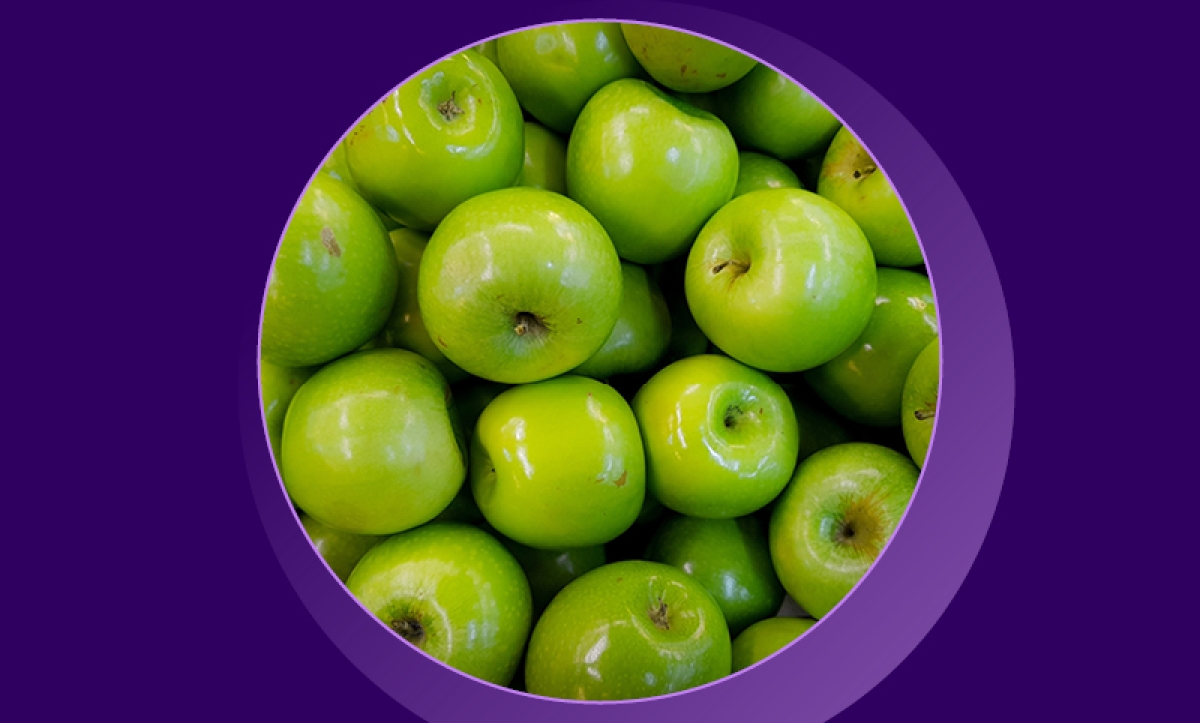 Food Supply Chain Capacity Study | Jobs and Skills Australia